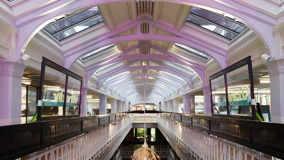 The Study, Manchester Museum (Manchester Museum) | Ben Kelly